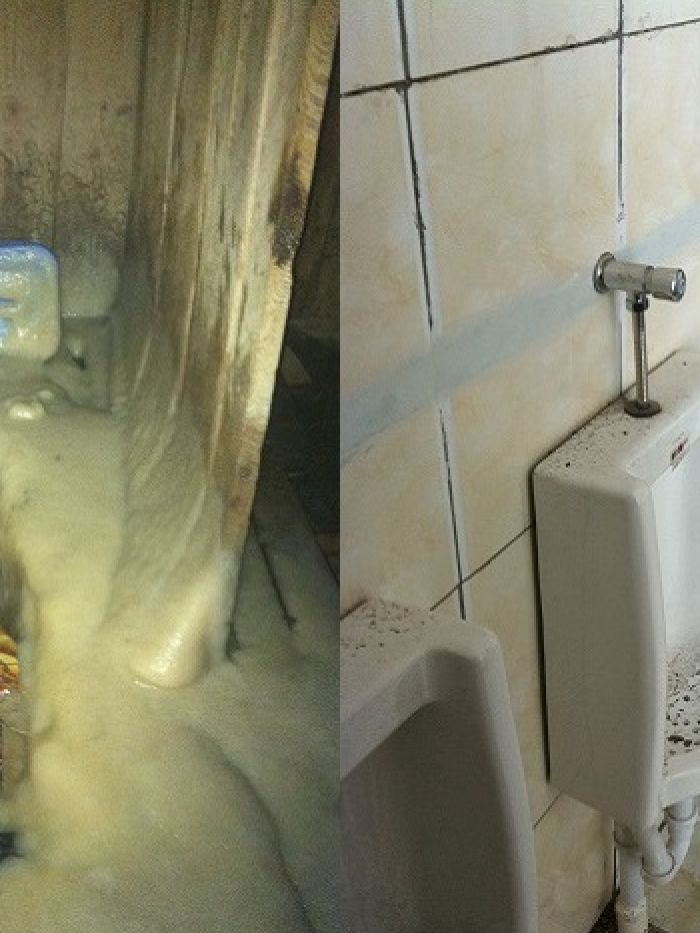 Breaking the toilet taboo to improve global sanitation - ABC listen