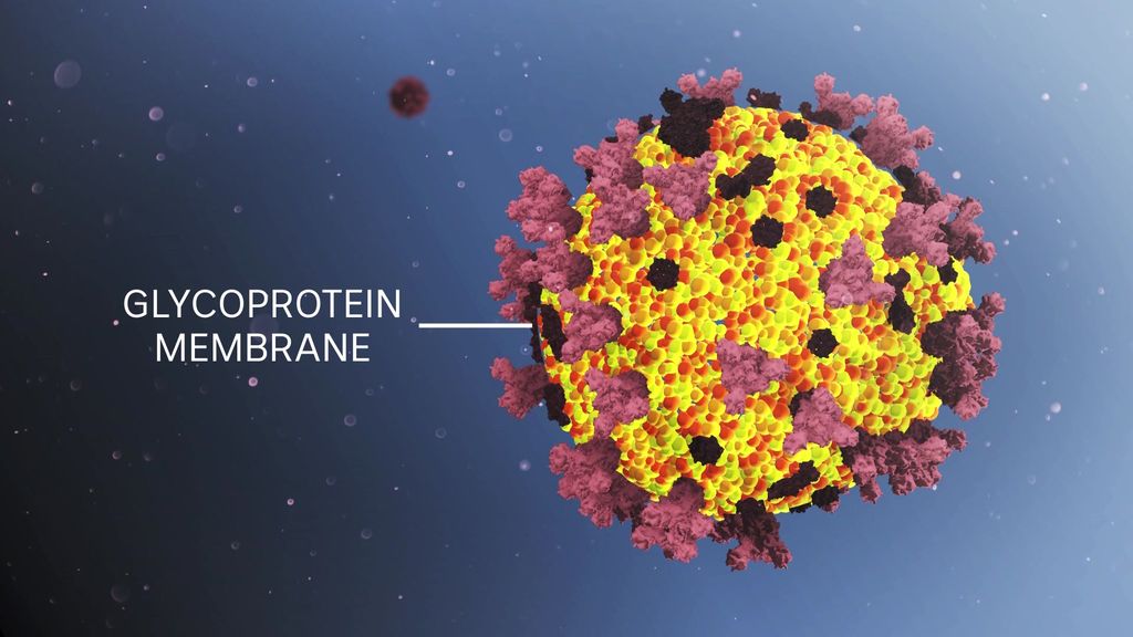 Under the microscope - ABC News