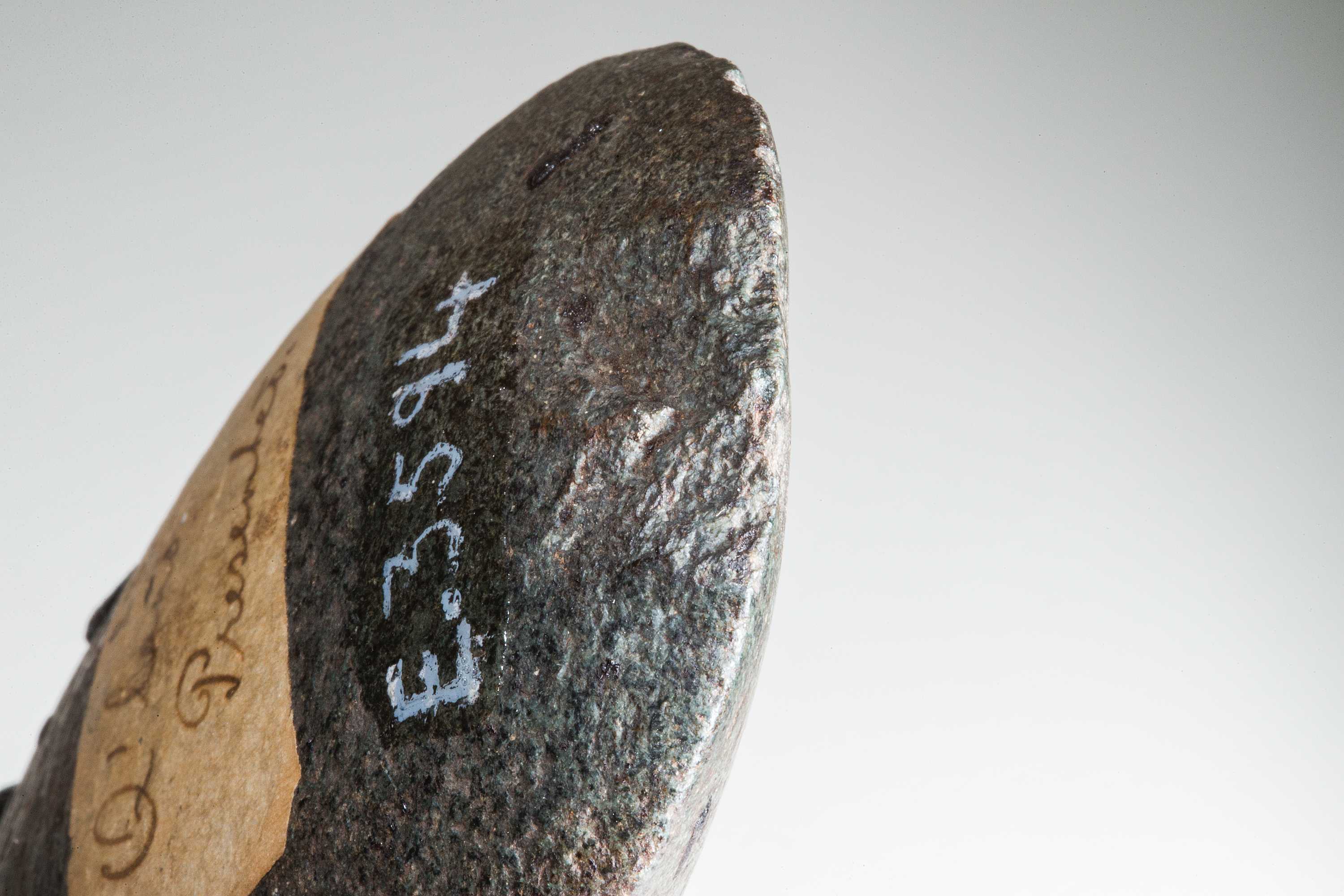 Stone axe found in the Kimberley rewrites evolution of stone tools ...
