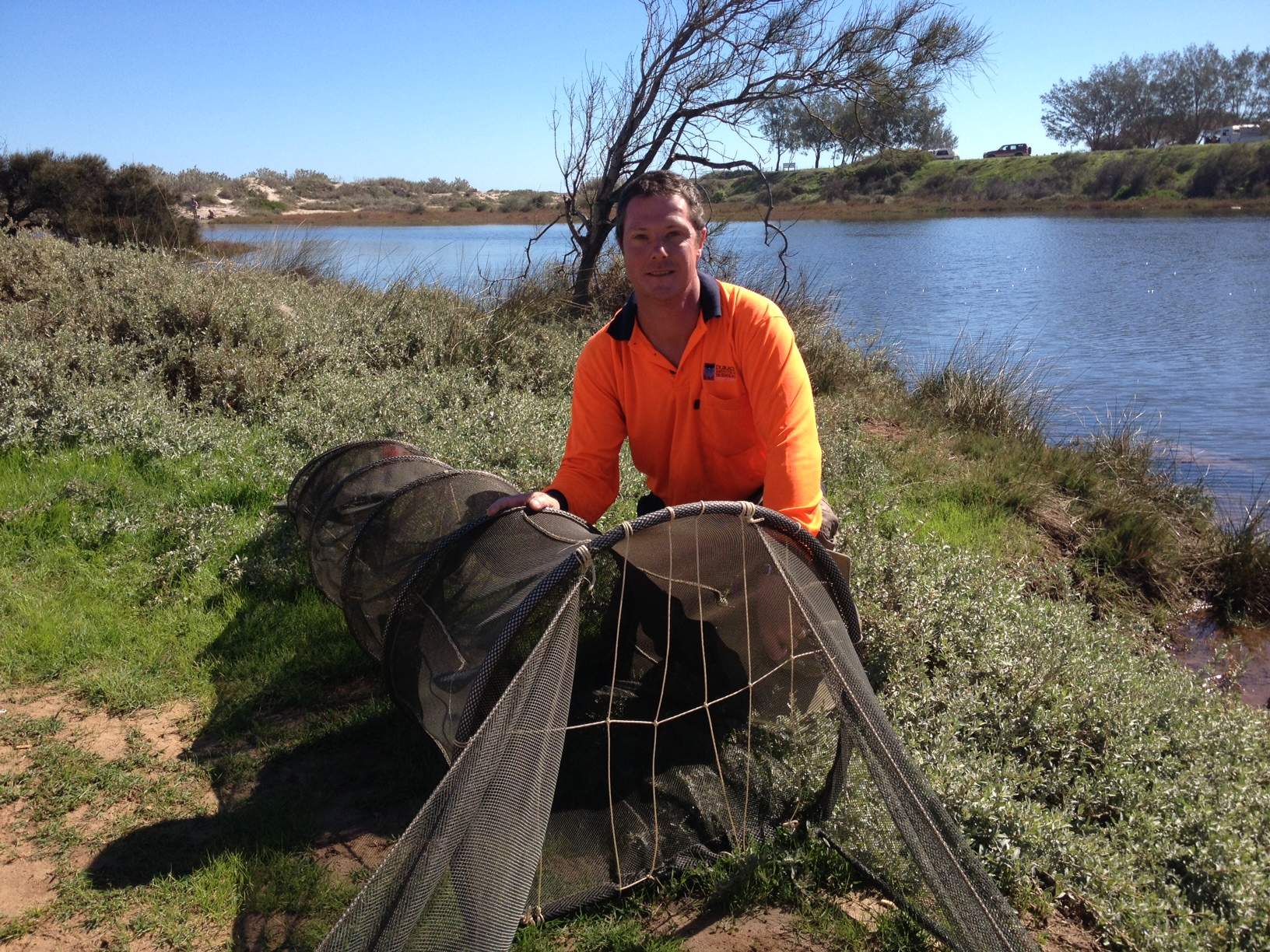 Measuring the damage of pest fish - ABC News
