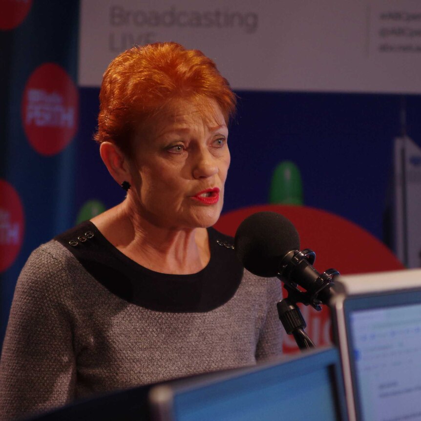 Pauline Hanson says Clive Palmer offering false hope - ABC listen Pauline Hanson says Clive Palmer offering false hope - ABC listen