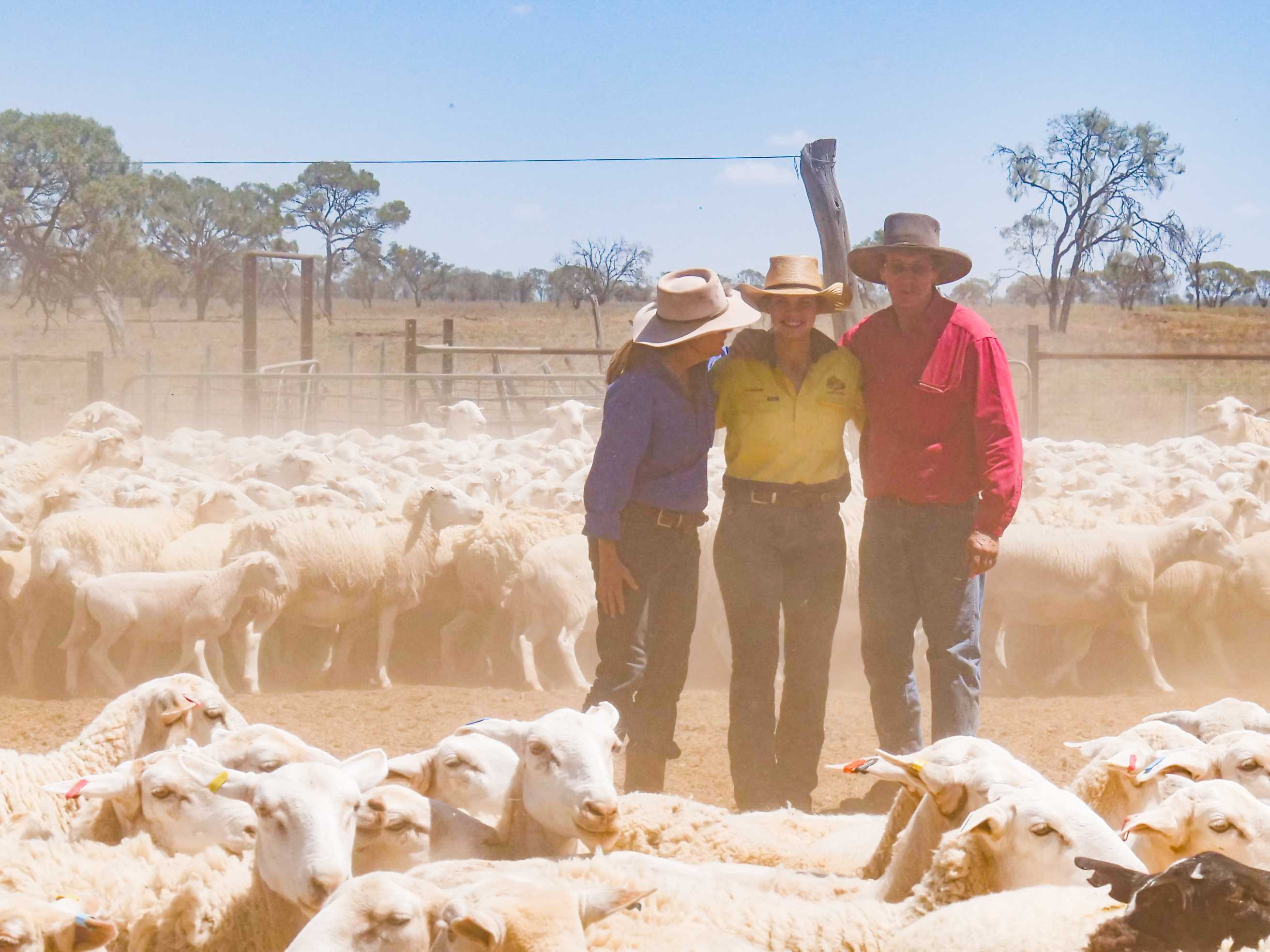 Risky move from wool to meat pays off in drought for Longreach sheep ...