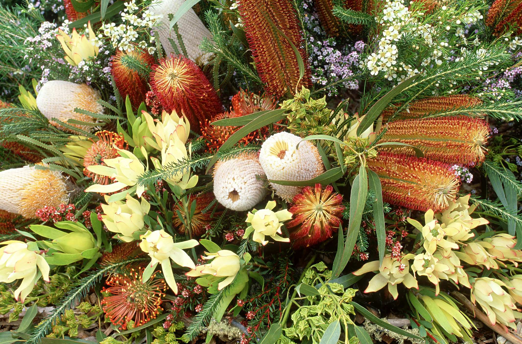 Highlights from Australia All Over - ABC listen