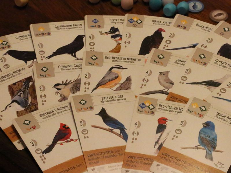 The bird watchers board game - ABC listen
