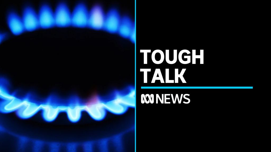 Federal government's energy market intervention faces obstacle - ABC News