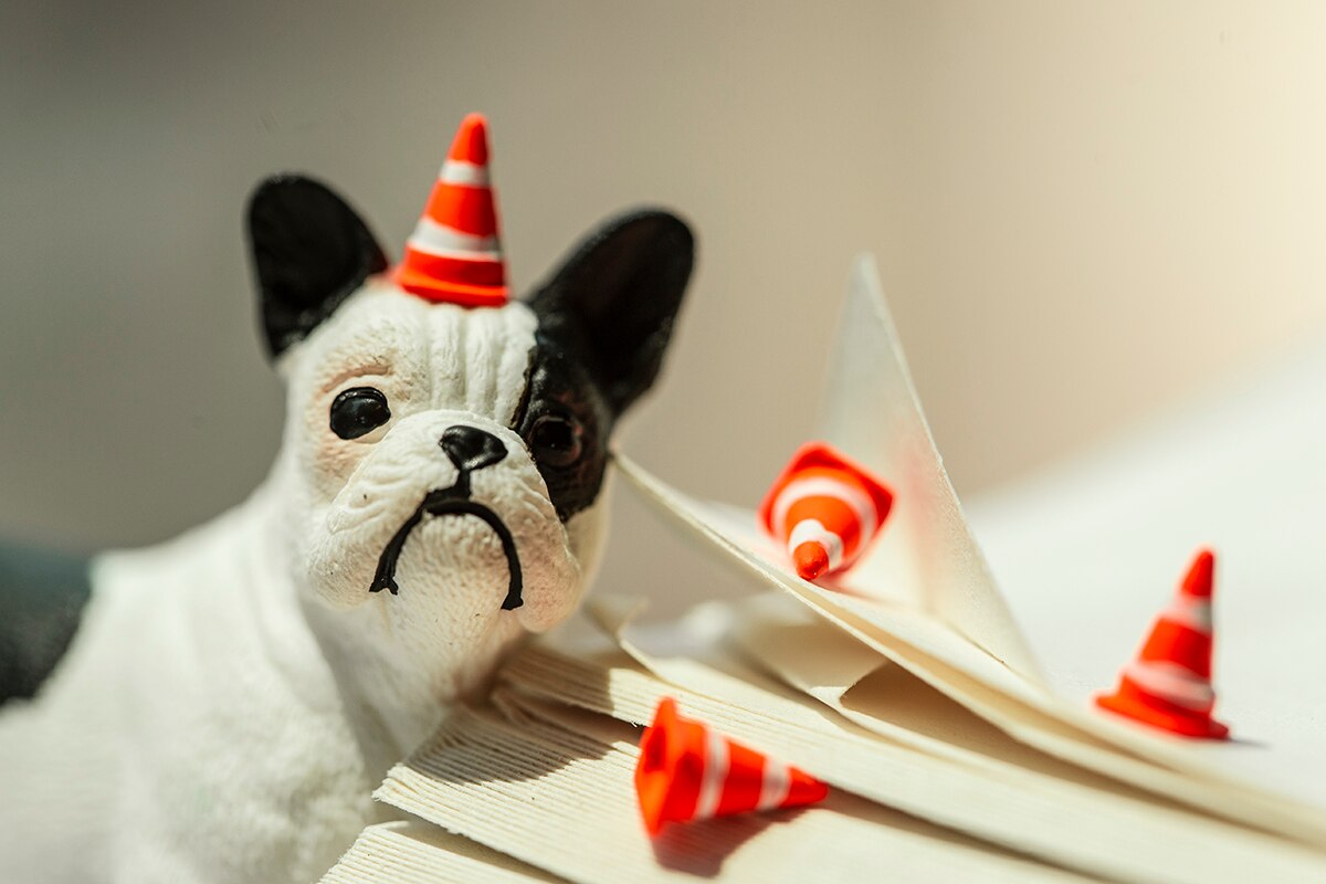 Dog-earing books is considered a shameful habit these days — but it ...