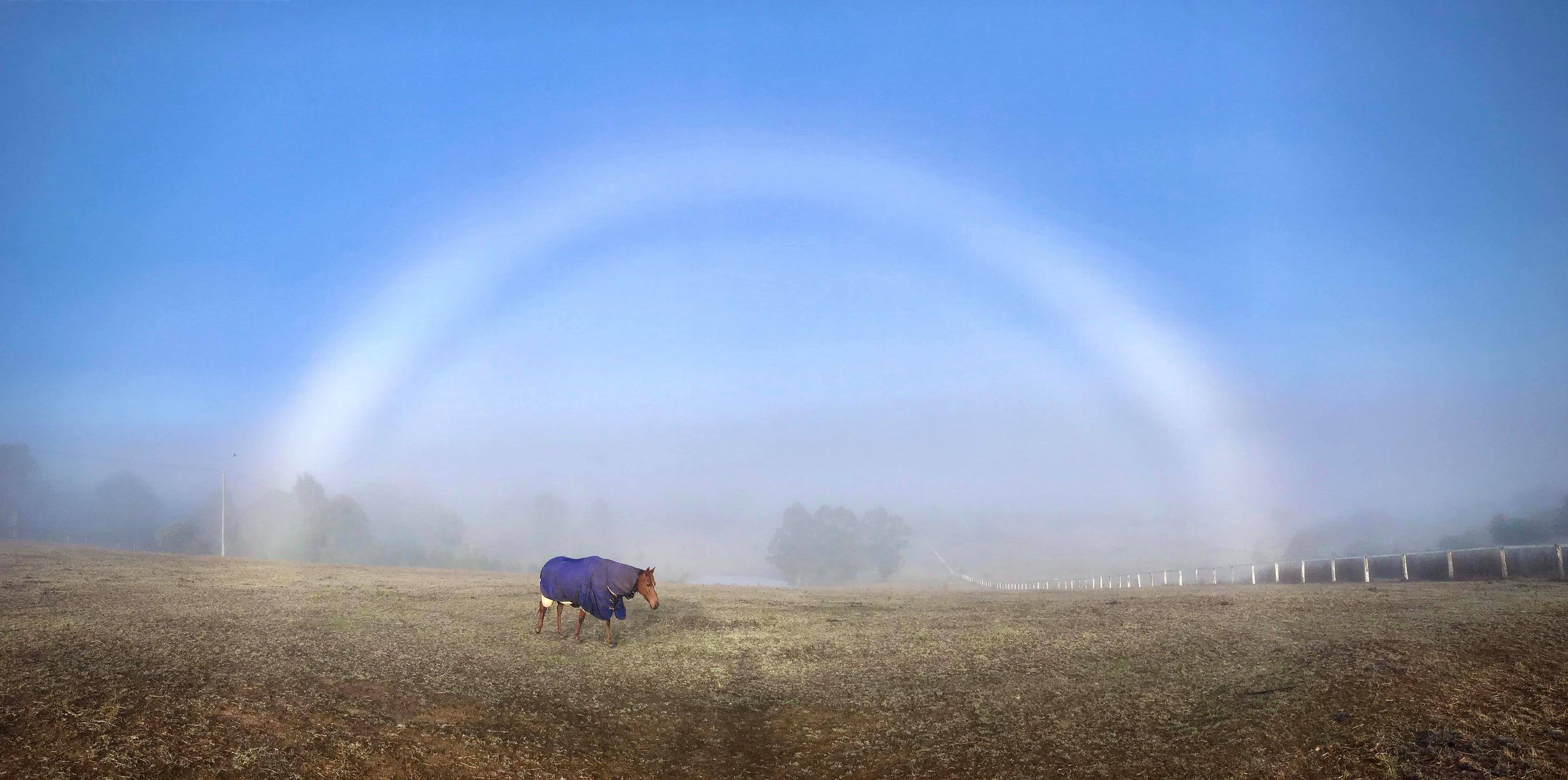 Why 'fogbows', ghostly white rainbows, are such a rare treat to spot in ...