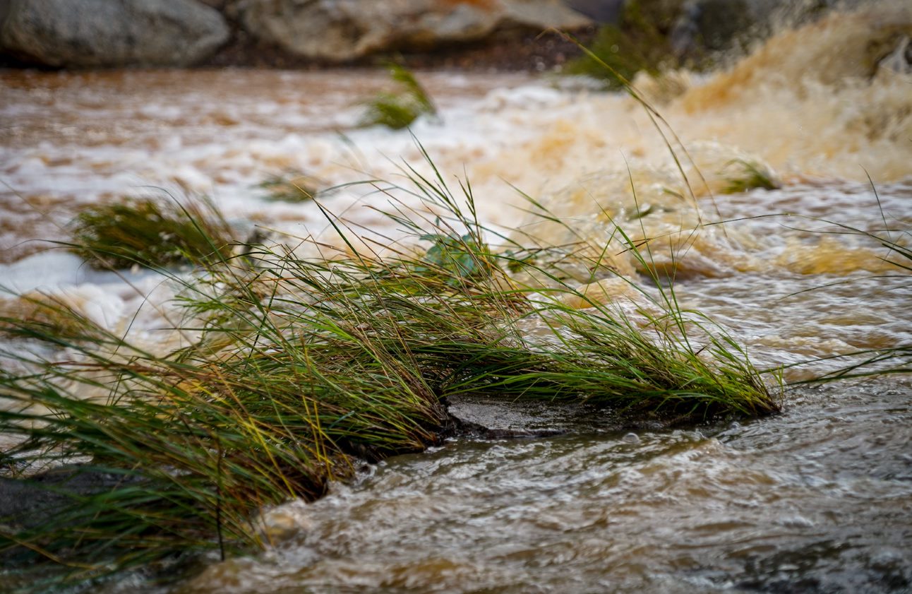 Alice Springs' usually dry Todd River flowing strong thanks to rain ...