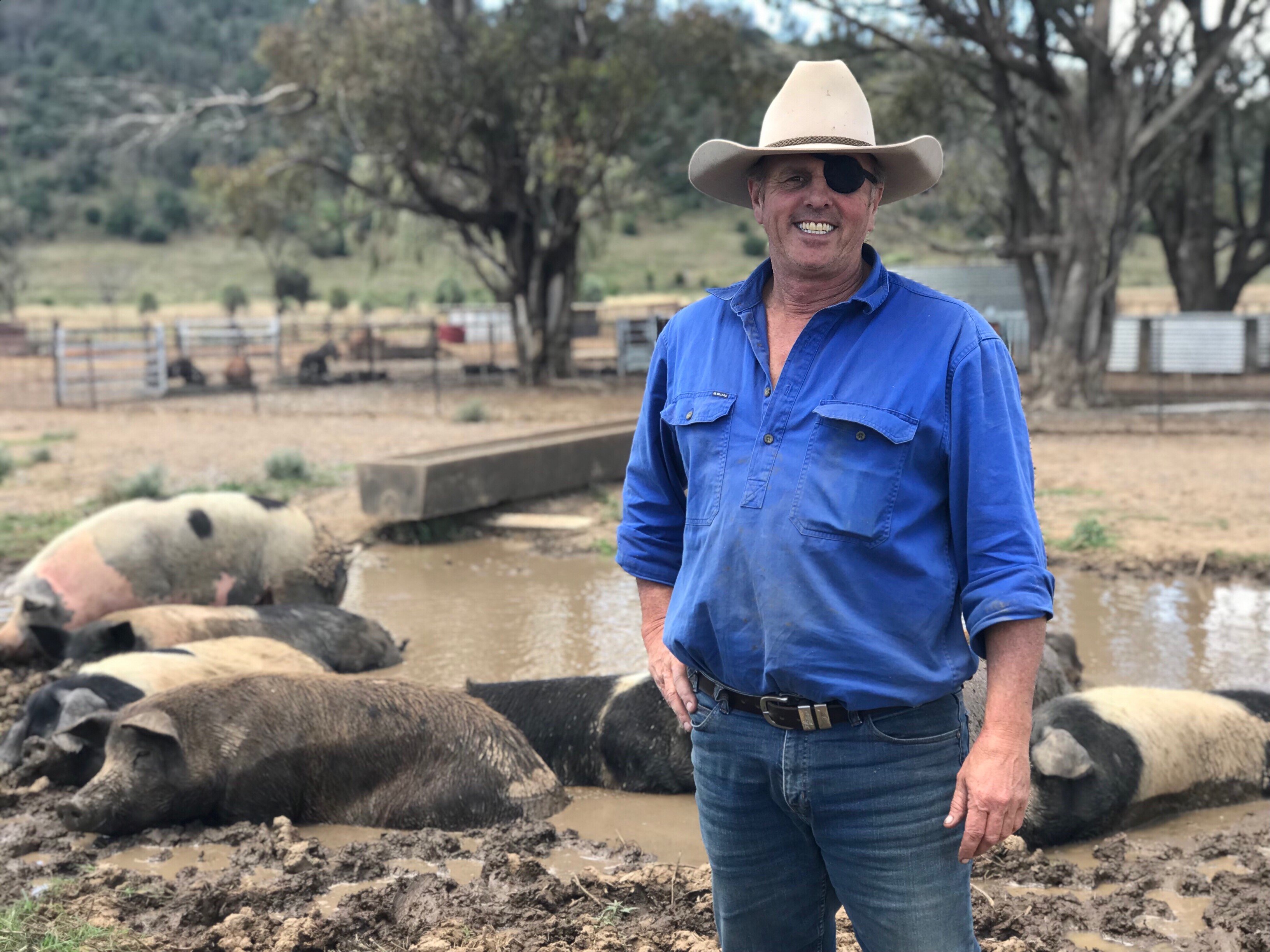 Surprising rescue during rain for Gunnedah livestock transporter - ABC ...