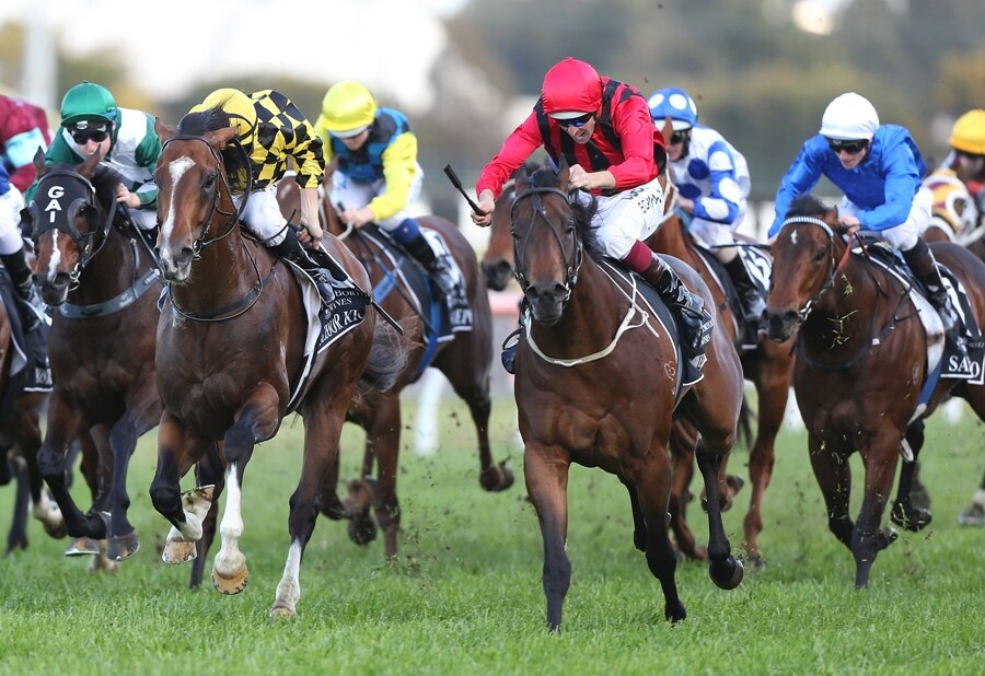 Spring Carnival 2014: Photo gallery - ABC News