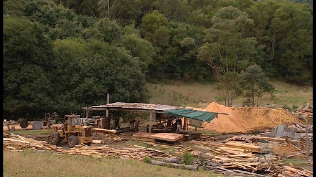 Forest Sleepers - ABC News