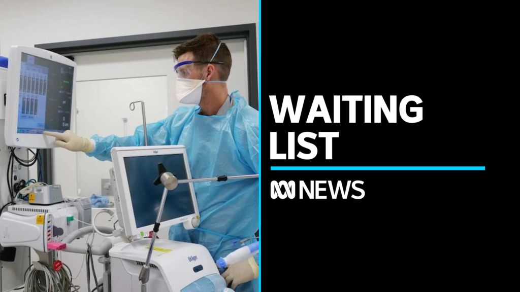 Reading The Very Hungry Caterpillar in the Yuwi language - ABC News