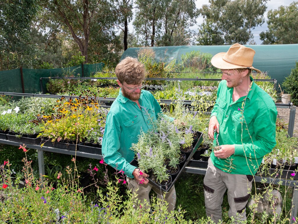 Cuddy family's restoration of historic Canowindra building breathes new ...