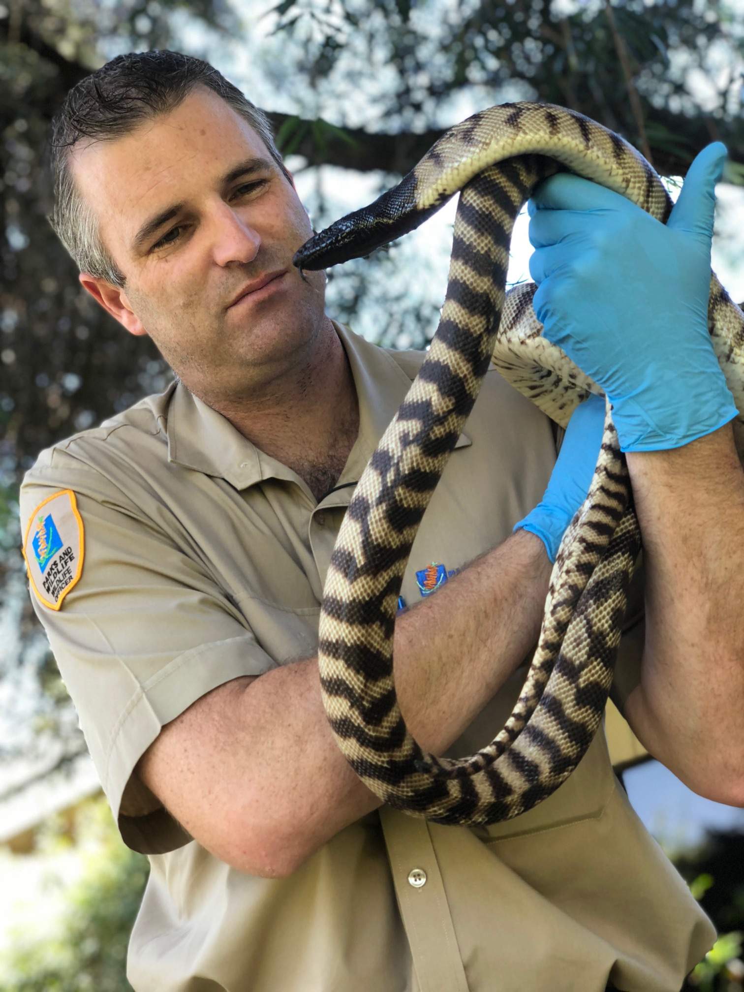 Lucrative, easy and on the rise: Animal smuggler warns of growing black ...