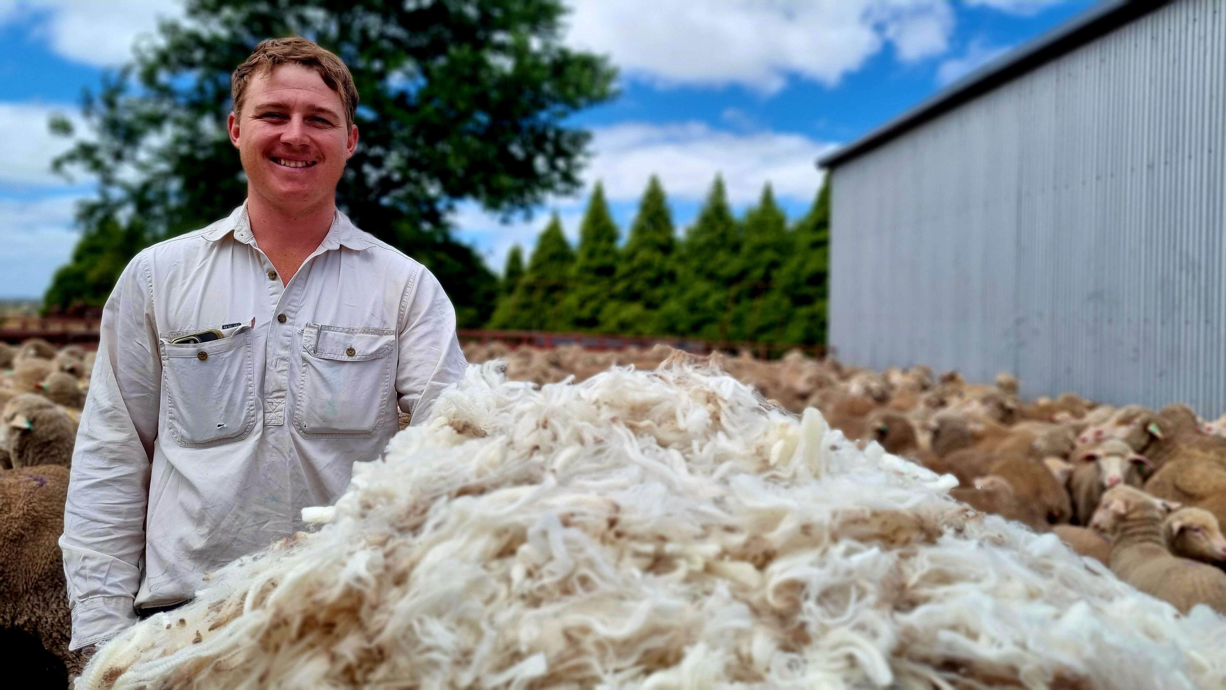 Australian wool industry slump will not deter these young growers - ABC ...
