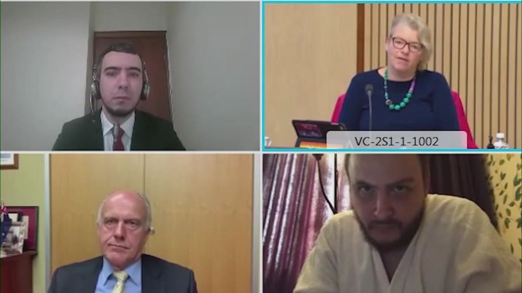 Pro-Putin propagandists trick Foreign Affairs and Trade committee - ABC ...