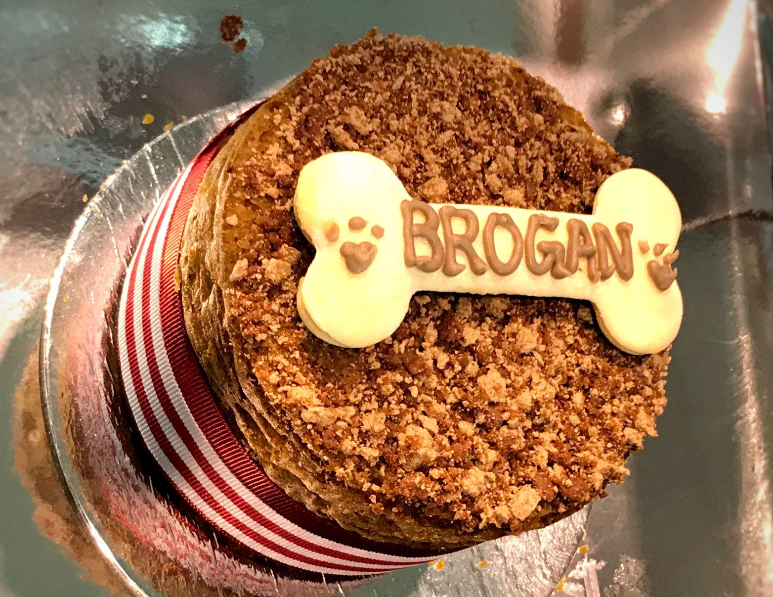 Guide dog Brogan catches record 300th flight with handler - ABC News