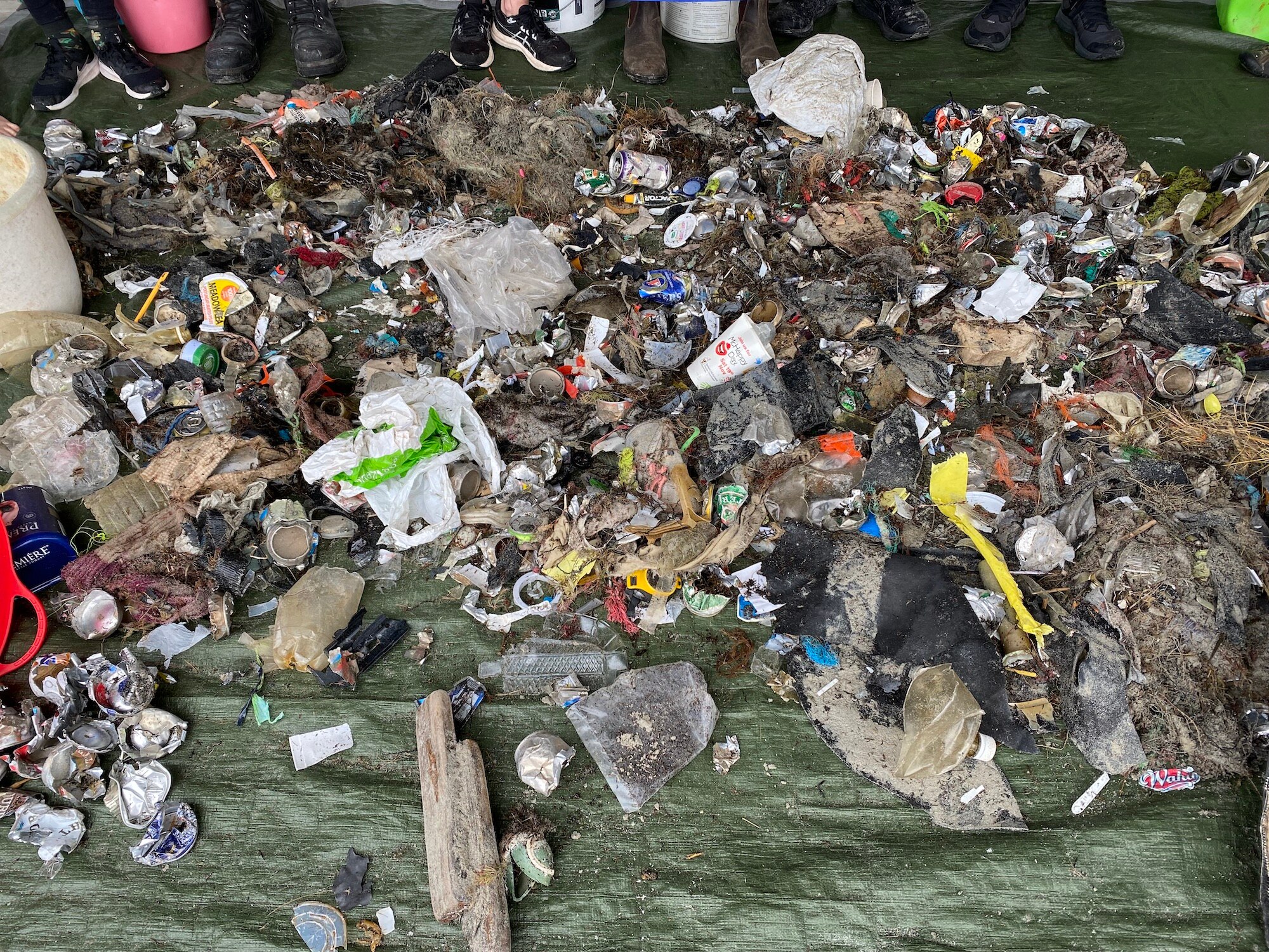 Warrnambool council urged to halt 'dangerous' dredging as dead marine ...