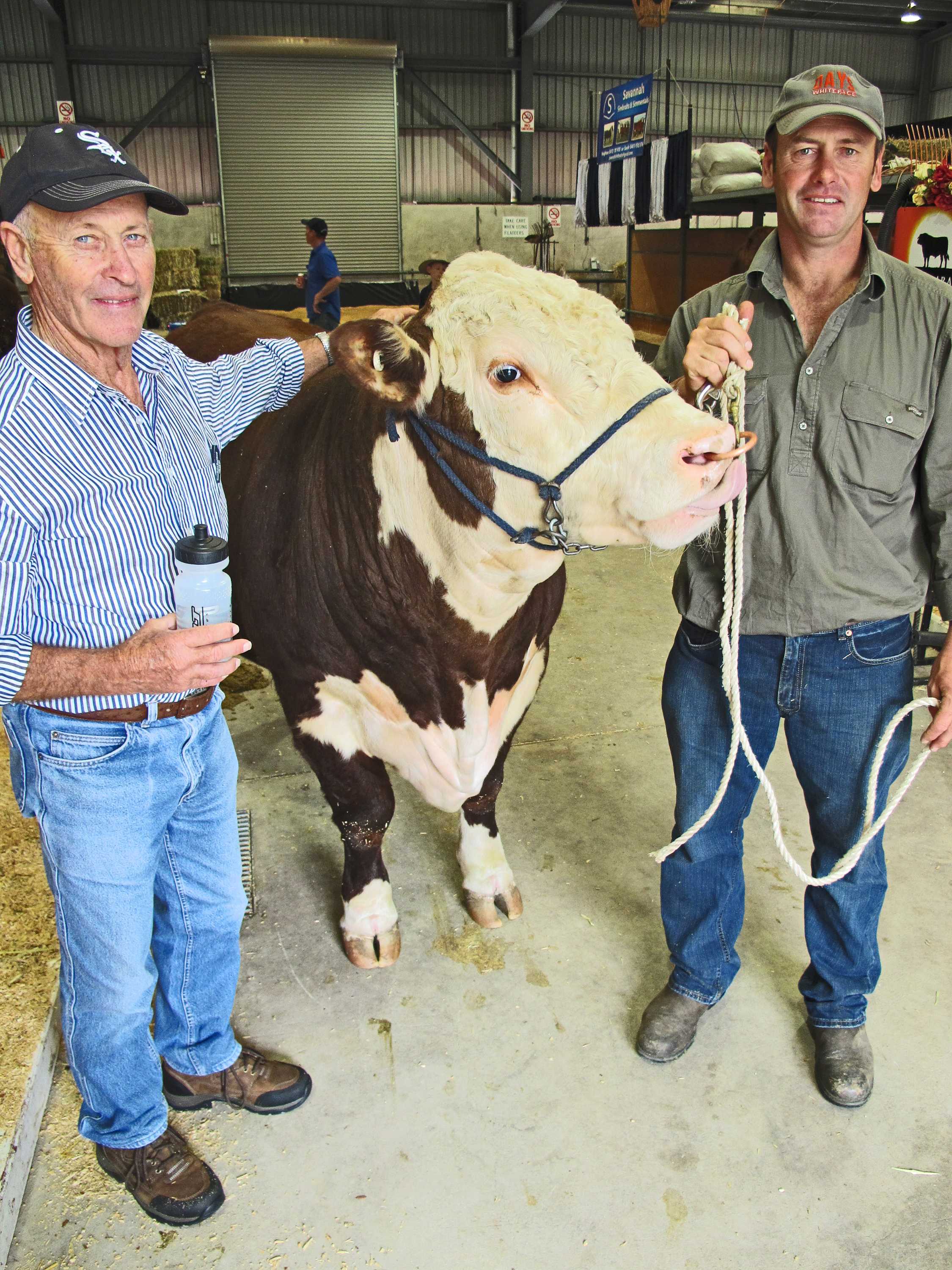 Robyn Powell - ABC News
