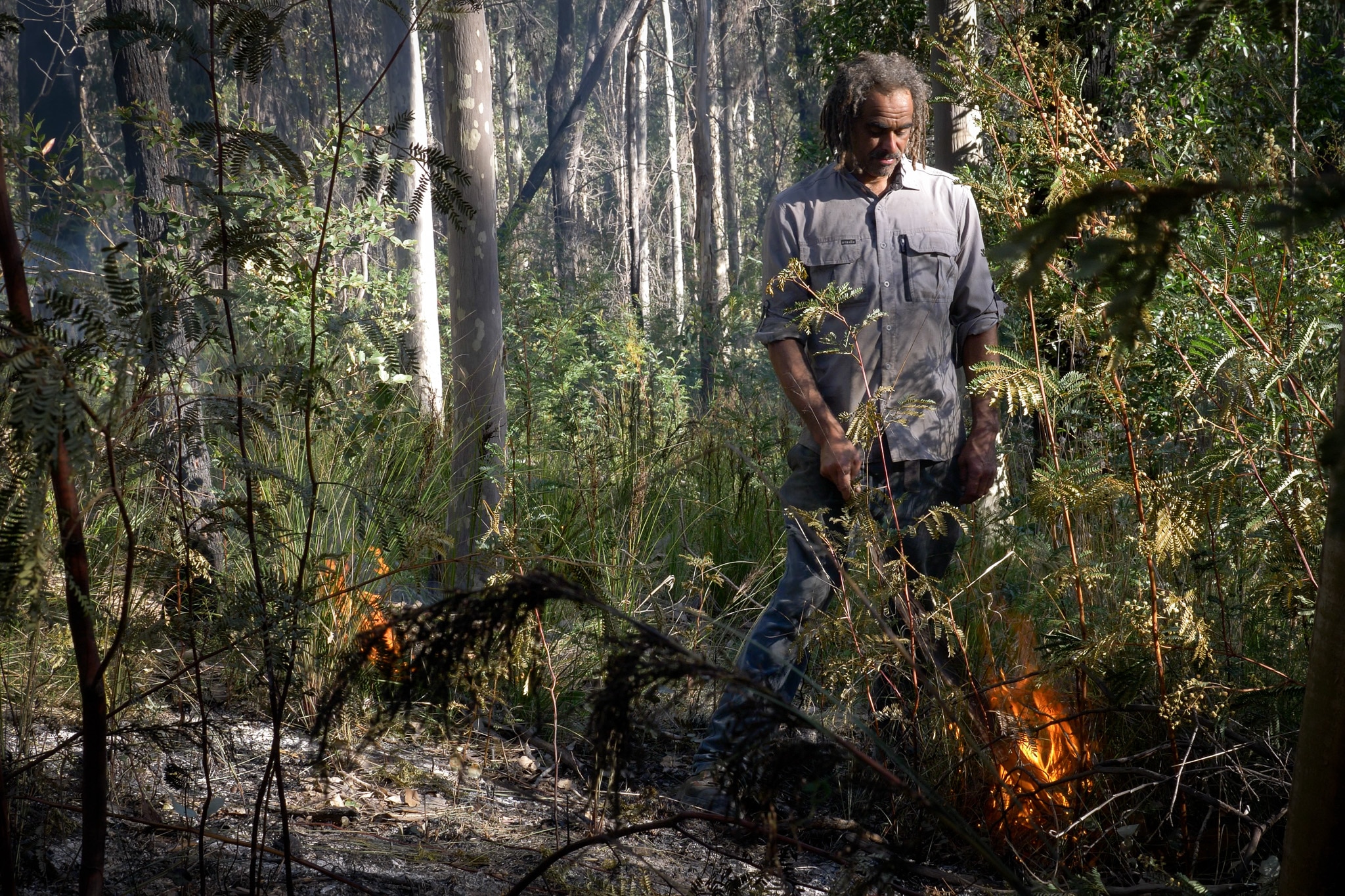 NSW releases Cultural Fire Strategy to support Aboriginal-led burning ...