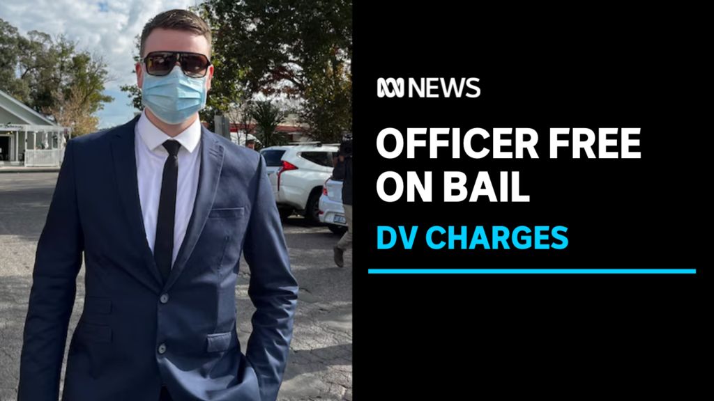 Police officer free on bail despite raft of domestic violence charges ...