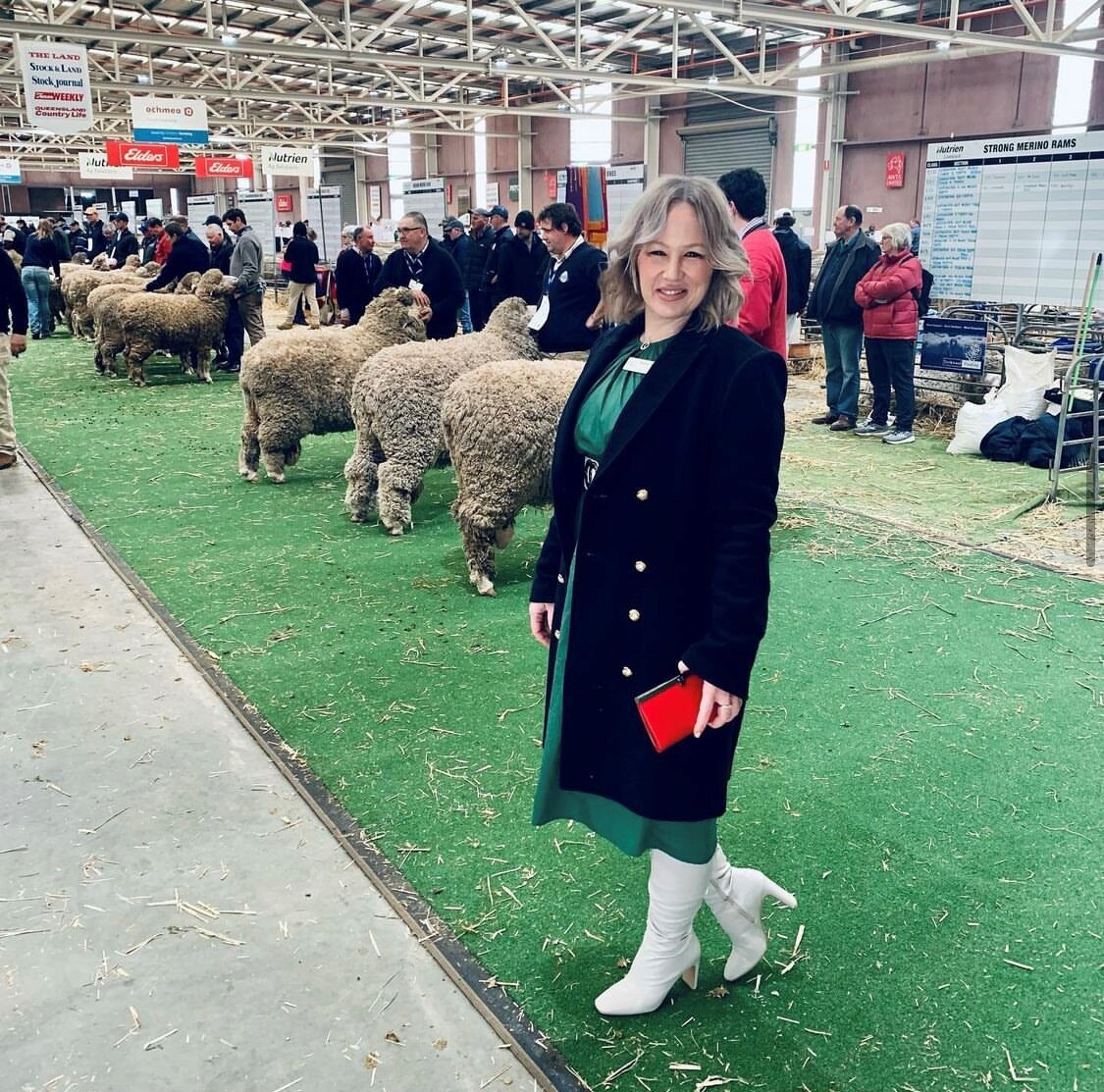 Merino SA celebrates century of champion breeders across the state ...