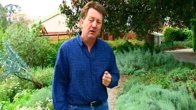 Waterwise Ground Covers - Gardening Australia
