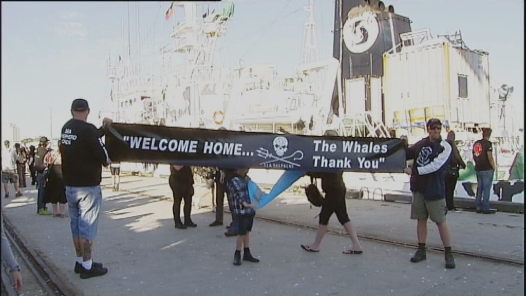 Sea Shepherd returns to port in victorious mood - ABC News