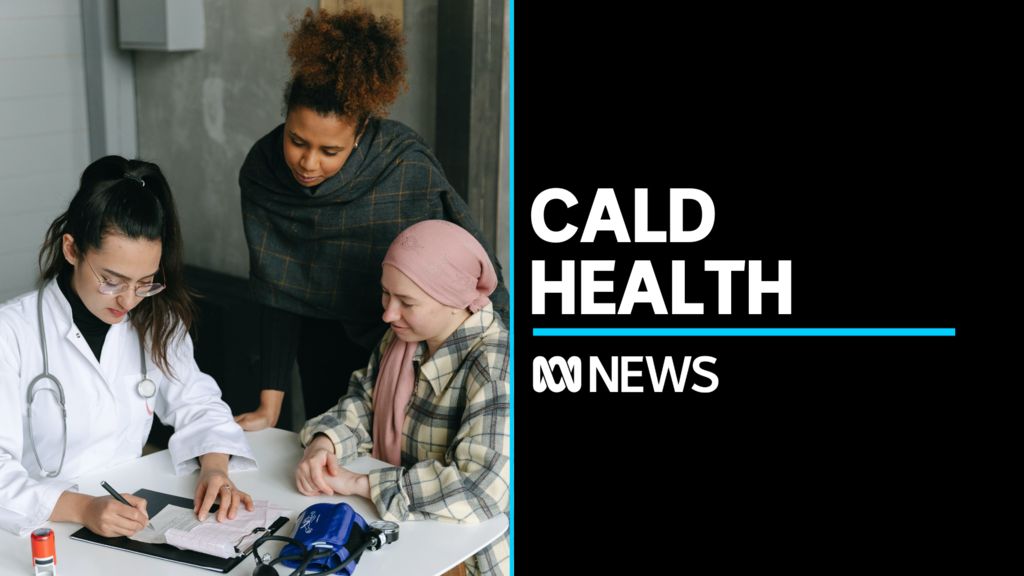 Appeal to improve health in migrant and refugee community - ABC News