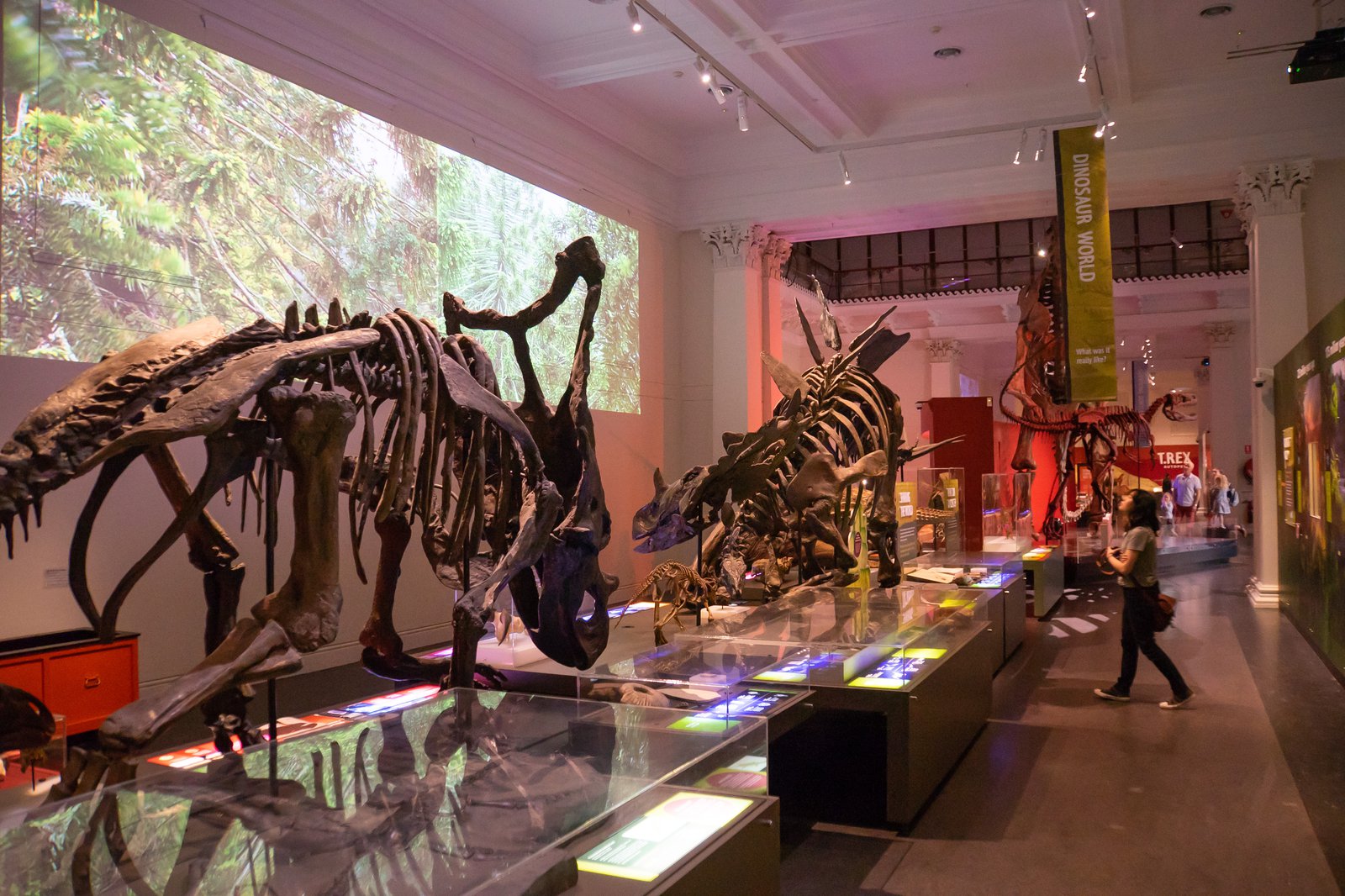 Global museums database to help with climate solutions - ABC listen