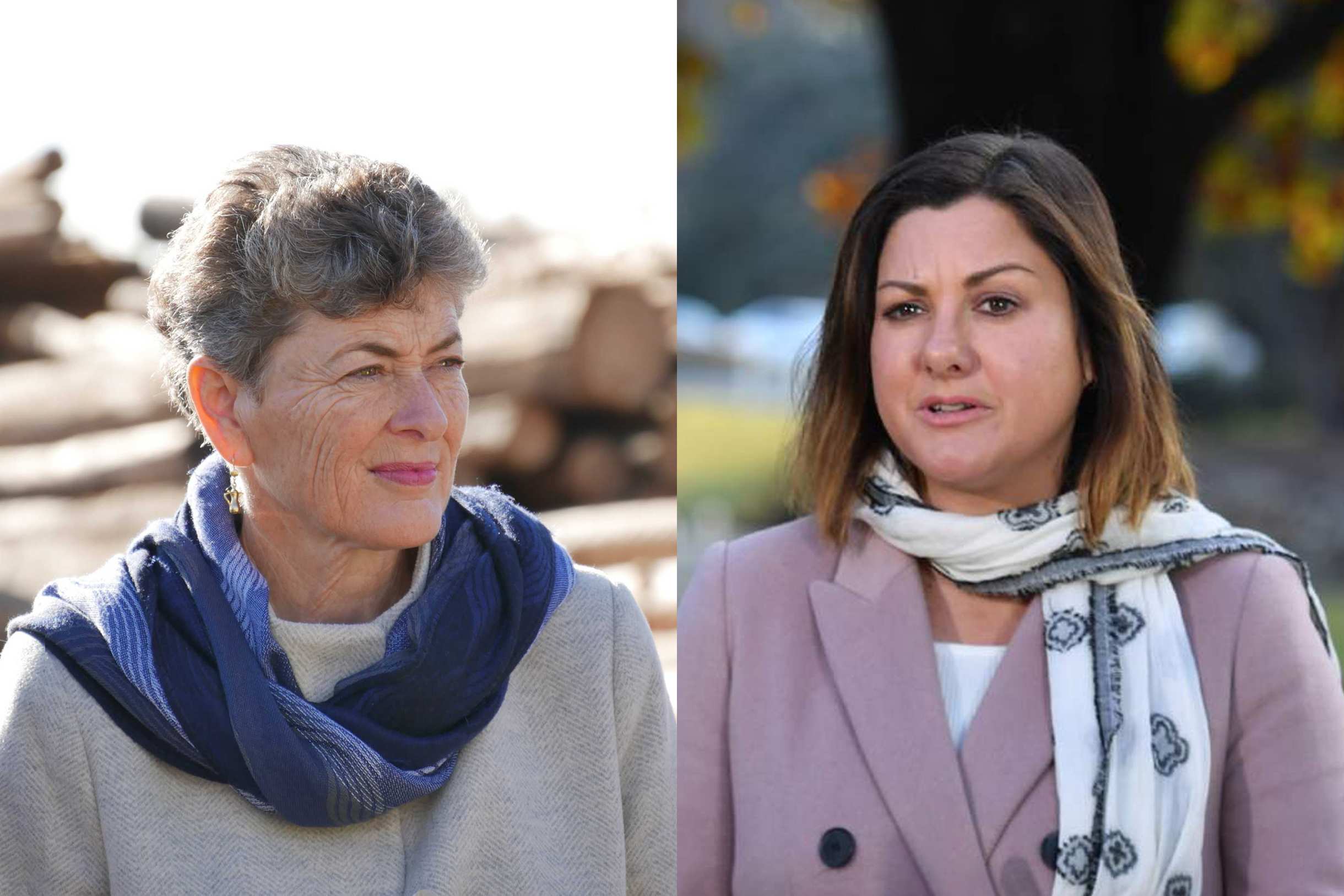 It's by-election day in Eden-Monaro. Here's what you need to know ...