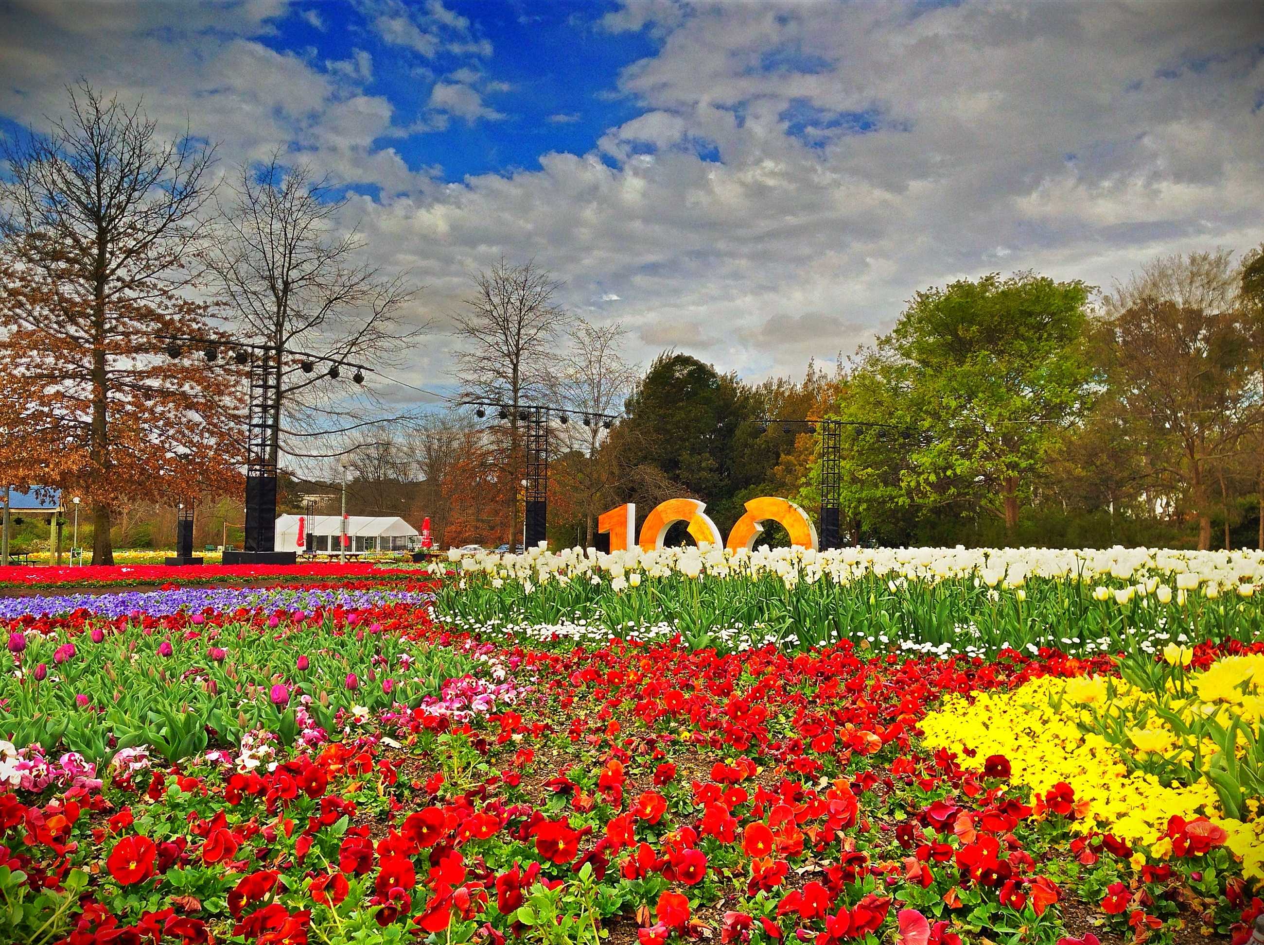 First visitors at Canberra's 26th Floriade festival - ABC News