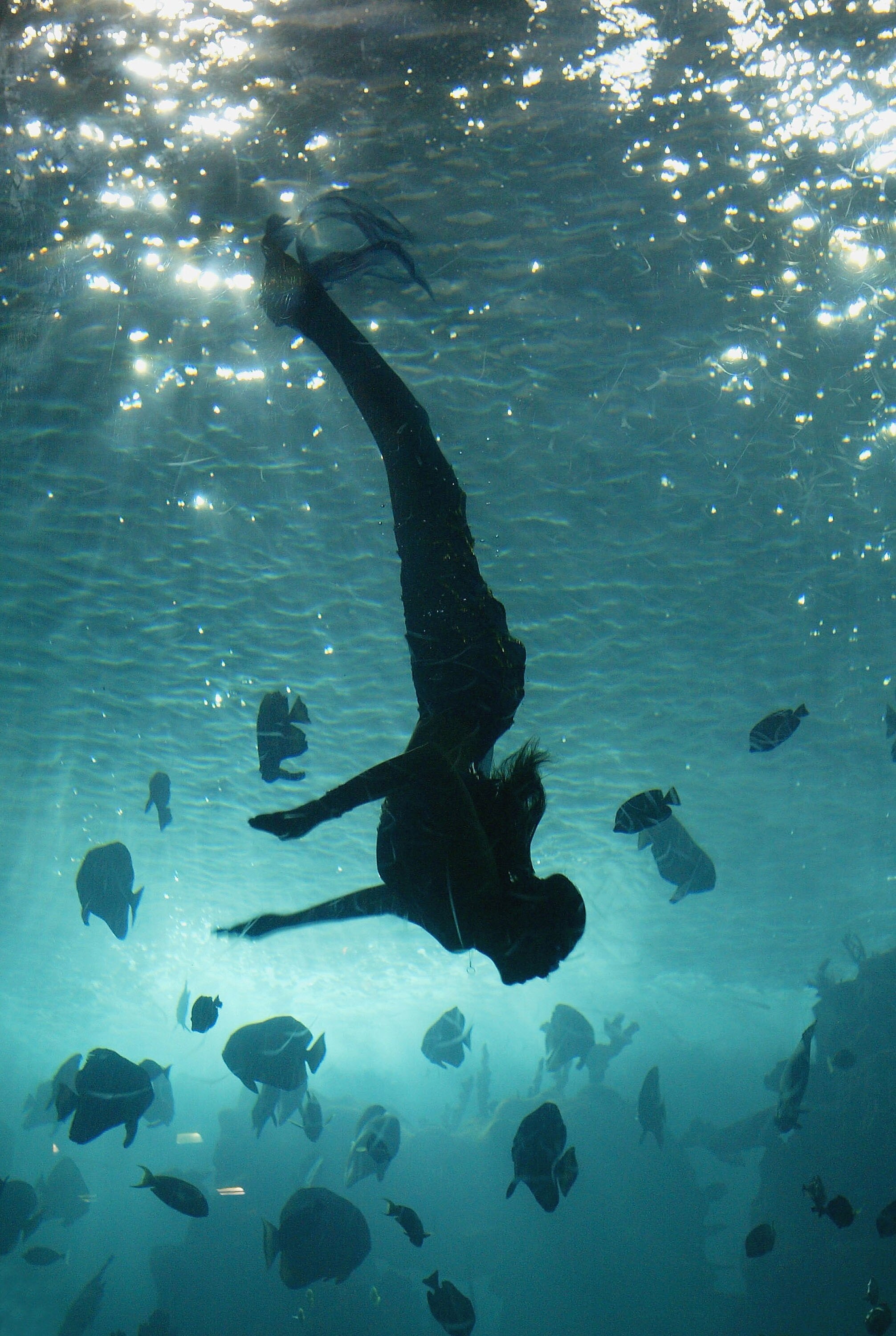 Mythical mermaids big business in Zimbabwe - ABC News