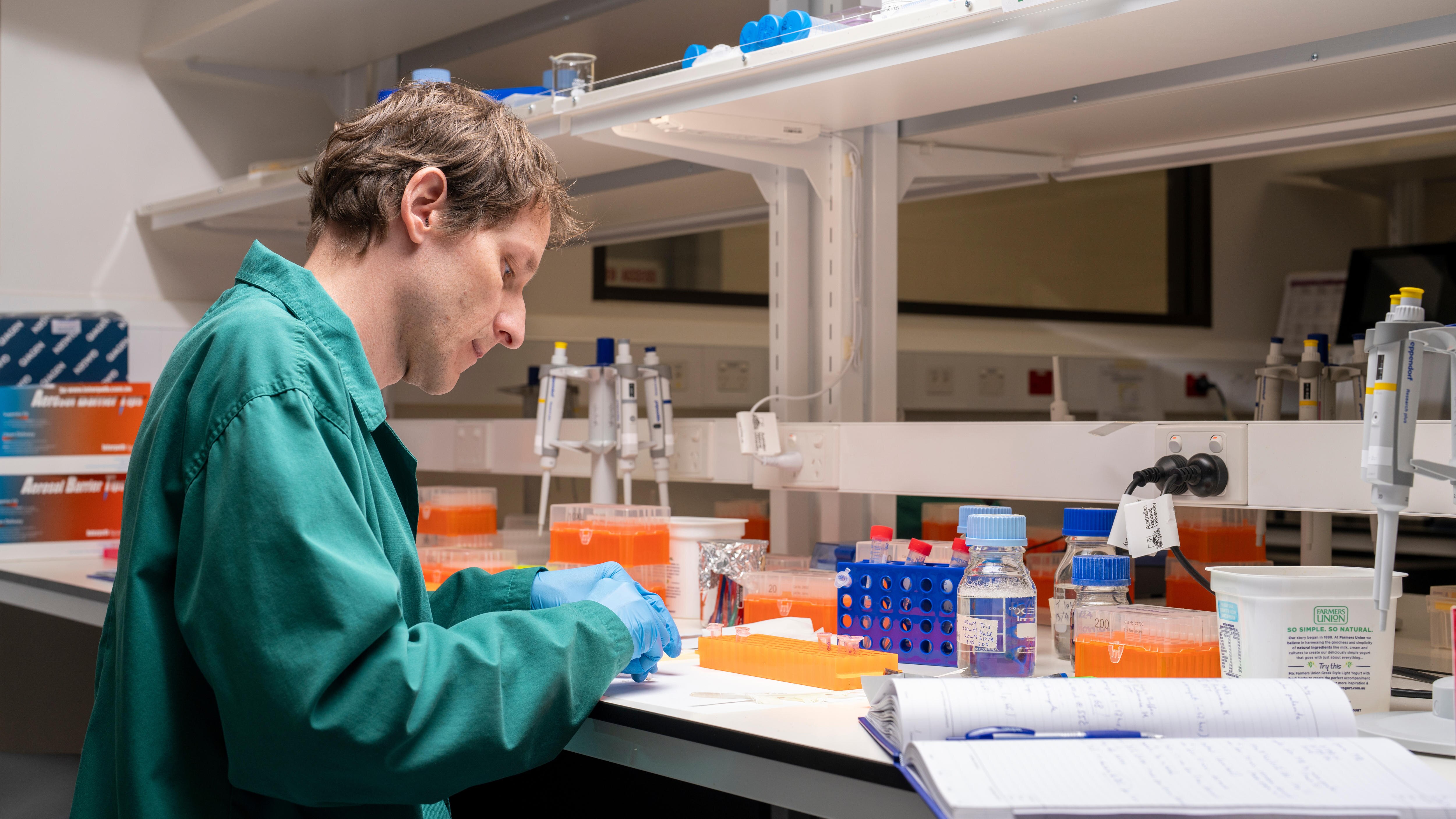 Canberra scientists using DNA to fight trafficked parrot trade - ABC News