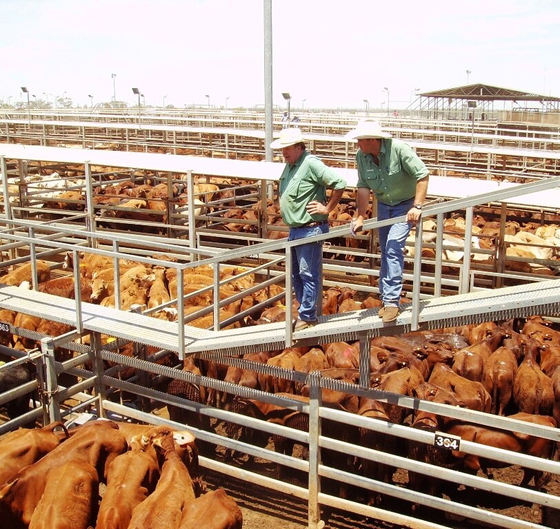 Landmark, Ruralco rural brands unite to form Nutrien Ag Solutions - ABC ...