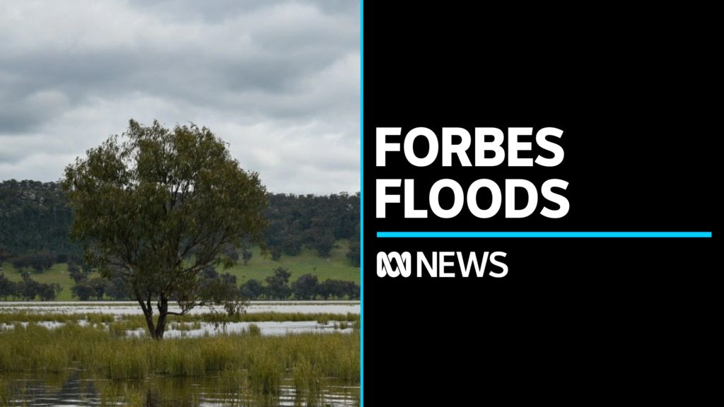 PM and premier assess flood-affected Forbes - ABC News