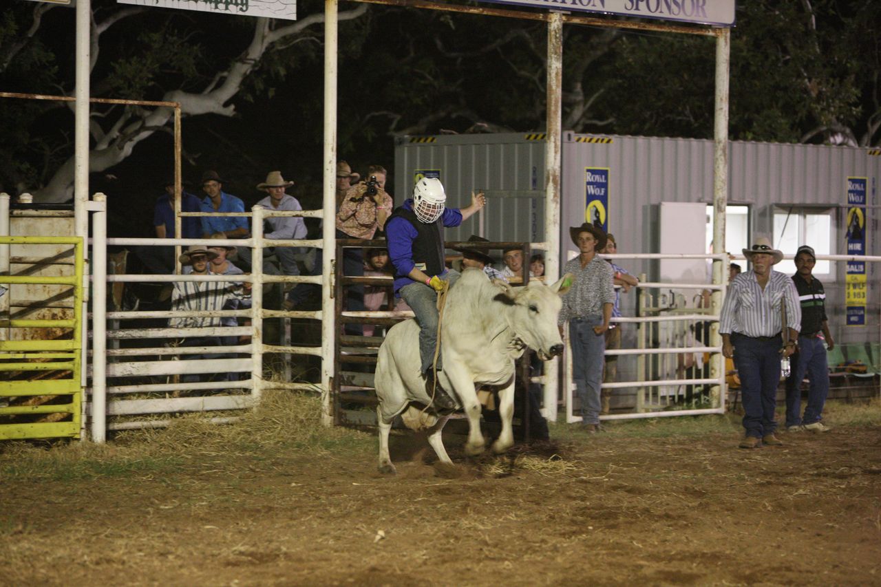 Bull riding: Not as easy as ABC - ABC News