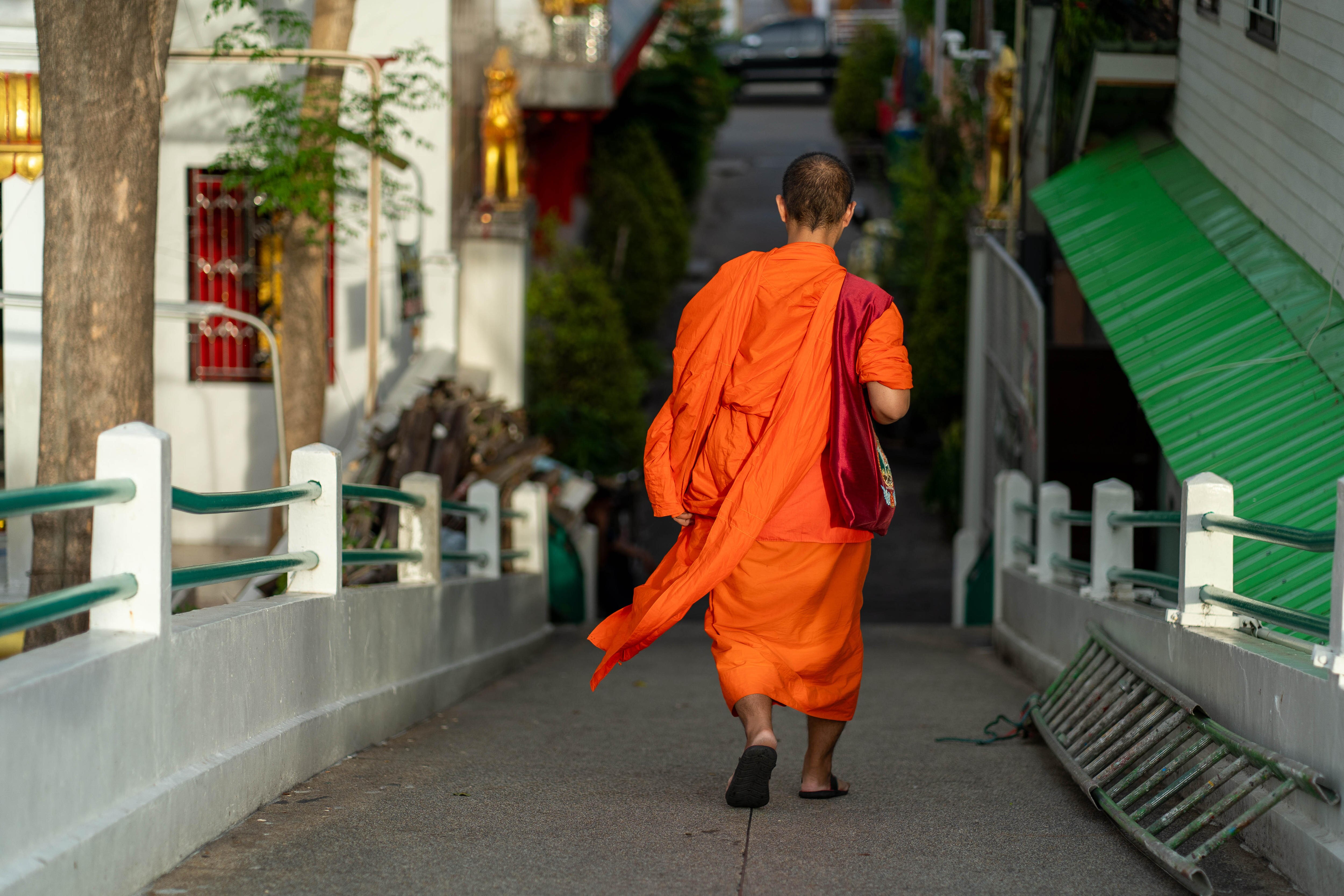 Foreign Correspondent - ABC News