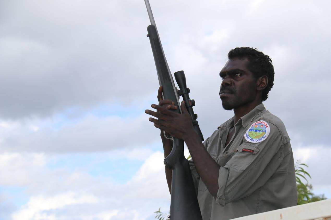 Looking down the barrel: Arnhem Land rangers say they are being overrun ...