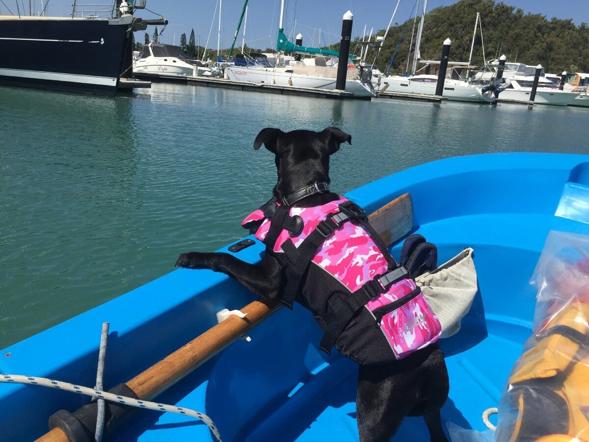 Solo sailor overcomes acute anxiety on the high seas with his trusty ...