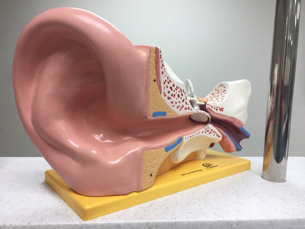 Perth's Ralph and Patricia Sarich Neuroscience Research Institute to ...