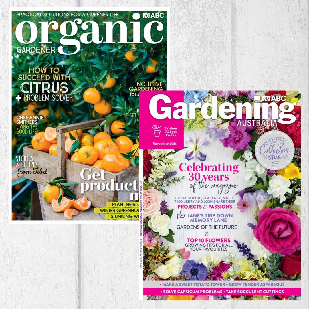 Magazines - ABC Shop