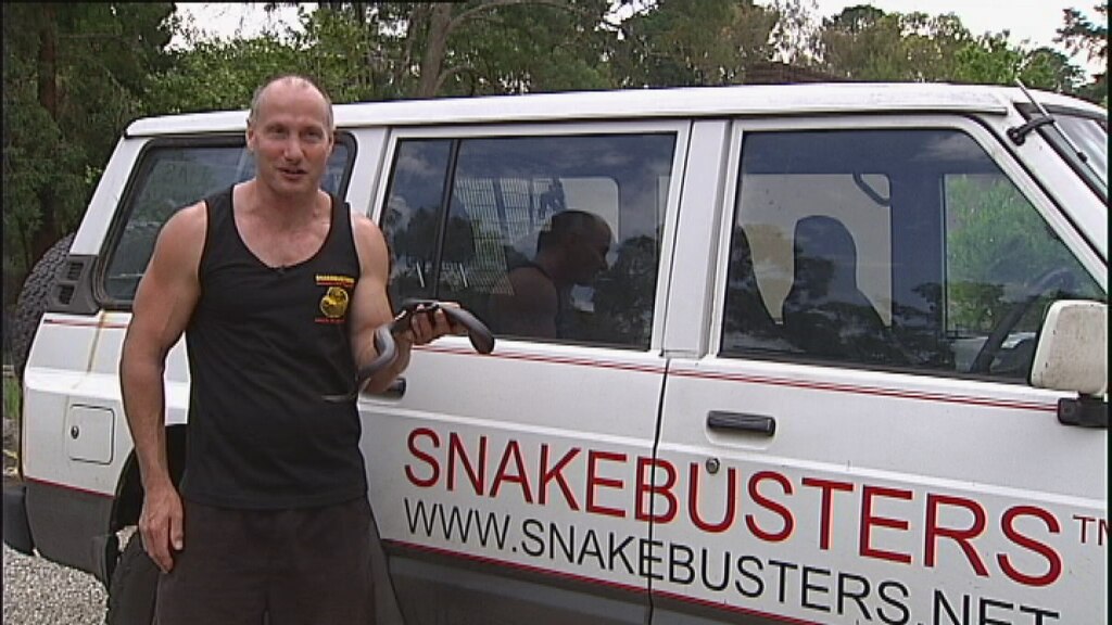 Snake handler appeals licence ban after letting reptiles bite daughter ...
