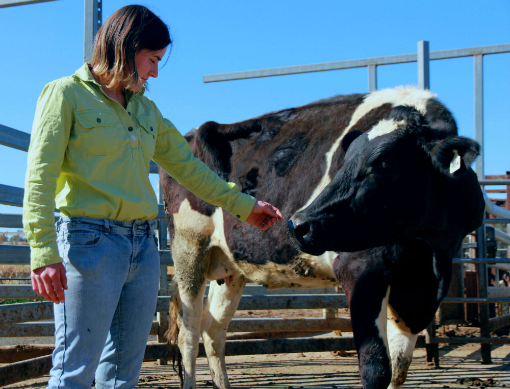School dux Sally Downie's new challenge: Taking on the family farm ...