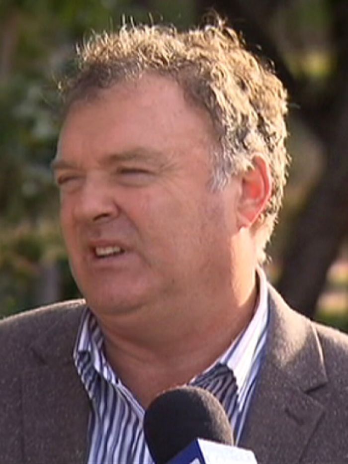 One Nation's WA Senate candidate could be disqualified for conviction ...