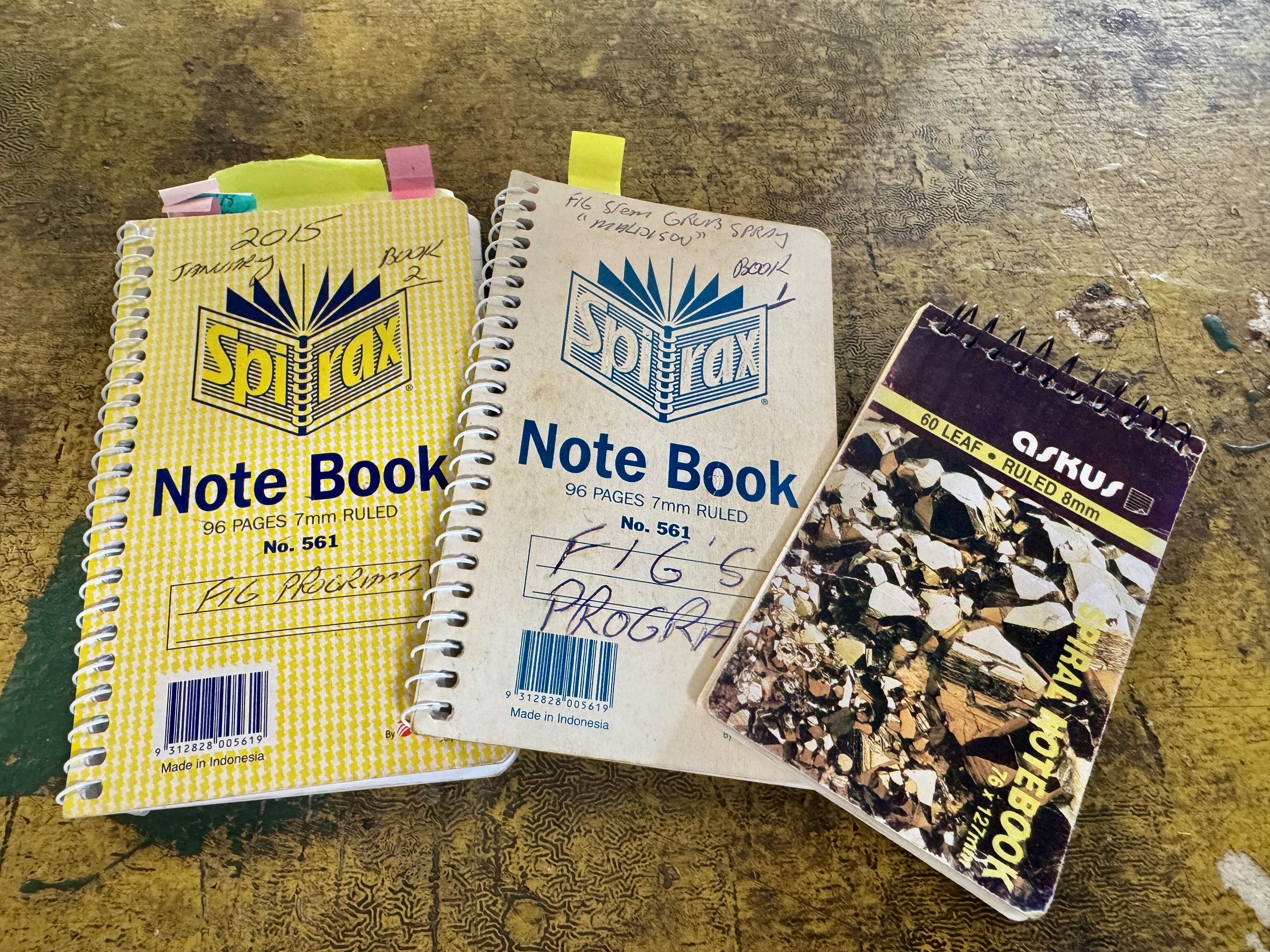 Fig harvest honours Maroochydore's largest private land owner - ABC News