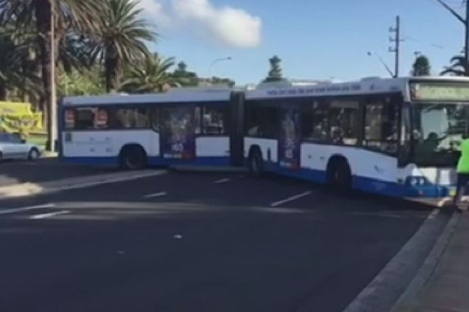 Failed U-turn leaves bendy bus stuck in middle of road at Avalon Beach ...