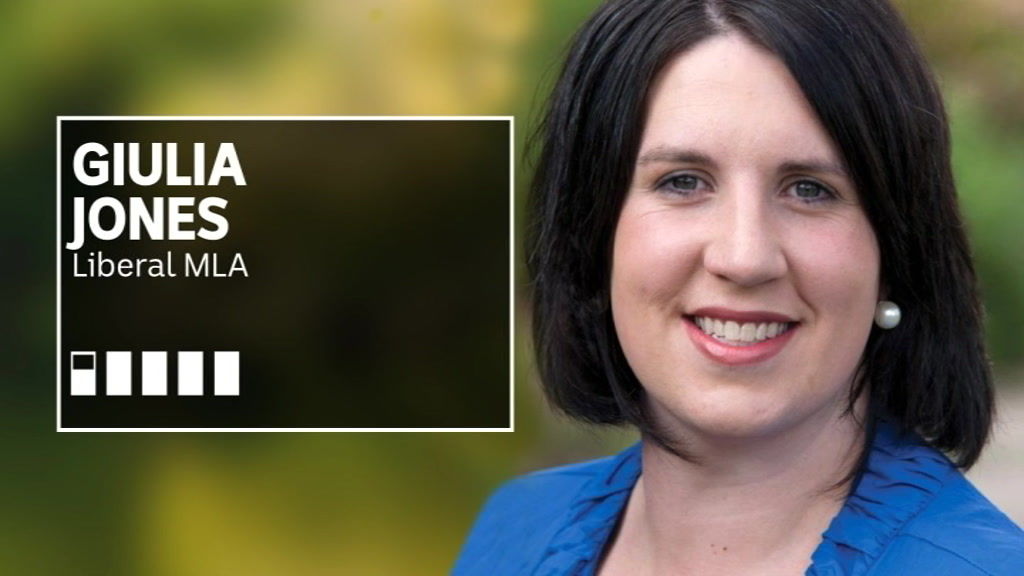 Giulia Jones raises Christchurch attacks in debate on child abuse laws ...