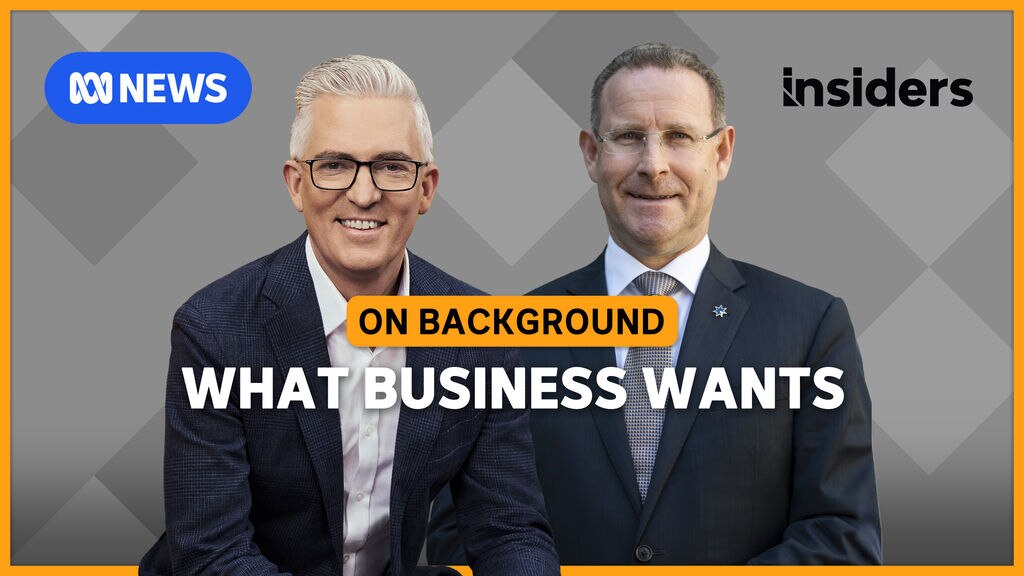 Insiders: What Business Wants | Insiders: On Background : ABC iview