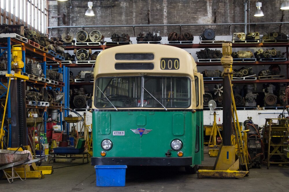 All aboard as Sydney Bus Museum reopens in Leichhardt - ABC News